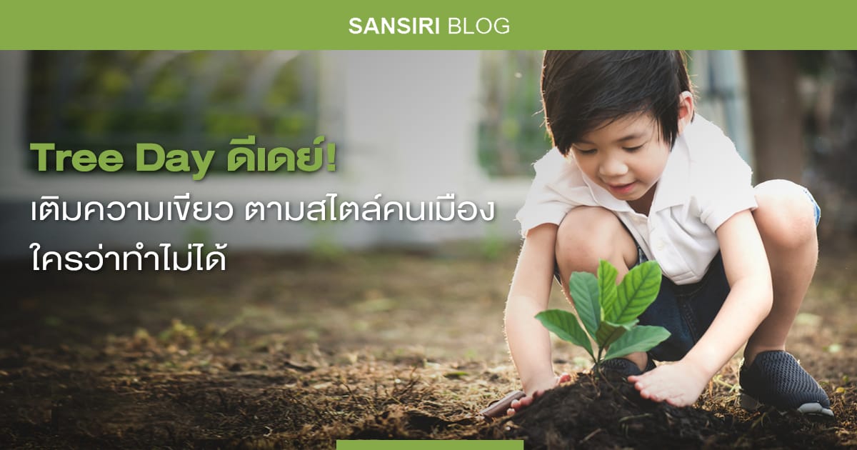 Tree Day ดีเดย์! เติมความเขียว ตามสไตล์คนเมือง ใครว่าทำไม่ได้ - Sansiri ...